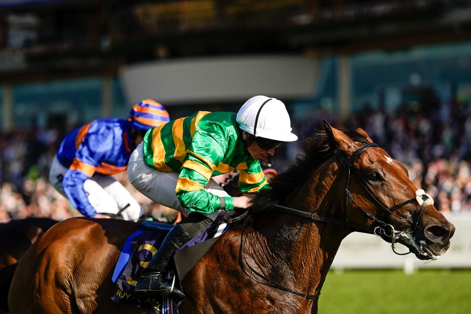 'Joseph prepared him beautifully' - leading jockey Ryan Moore rounds ...