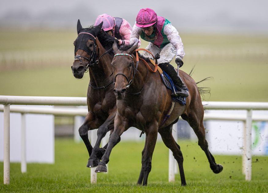 Camelot shows Bluestocking class as green shoots emerge for Frankel ...