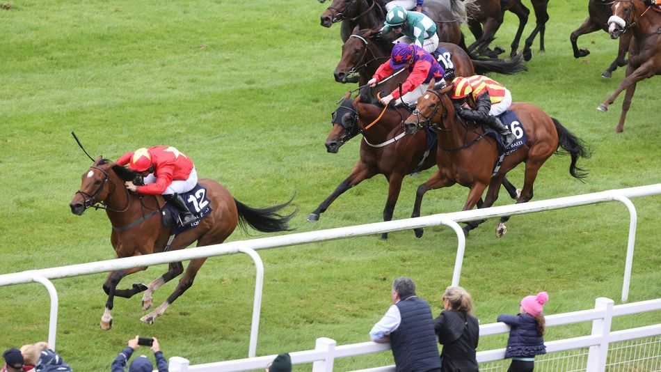 Three of the best: Highfield Princess's most memorable victories ...