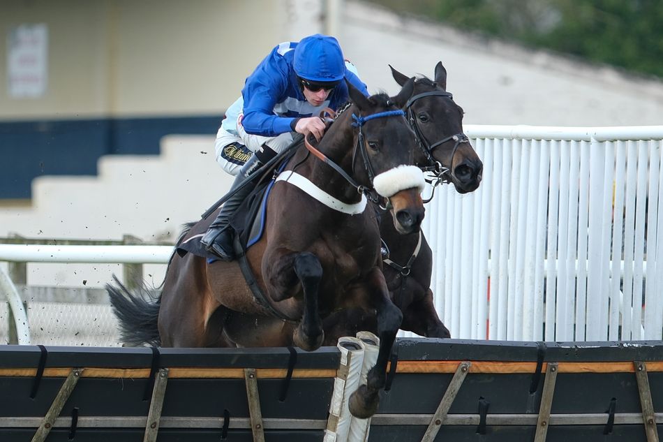 'He doesn't send many here' - Emily's Choice makes long journey ...