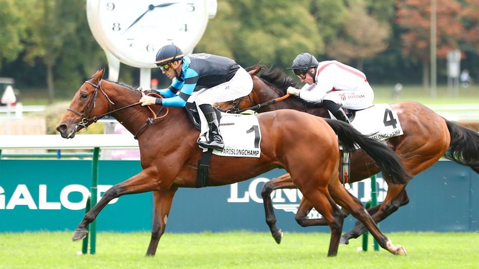 King George hero Goliath tunes up for major international target with ...