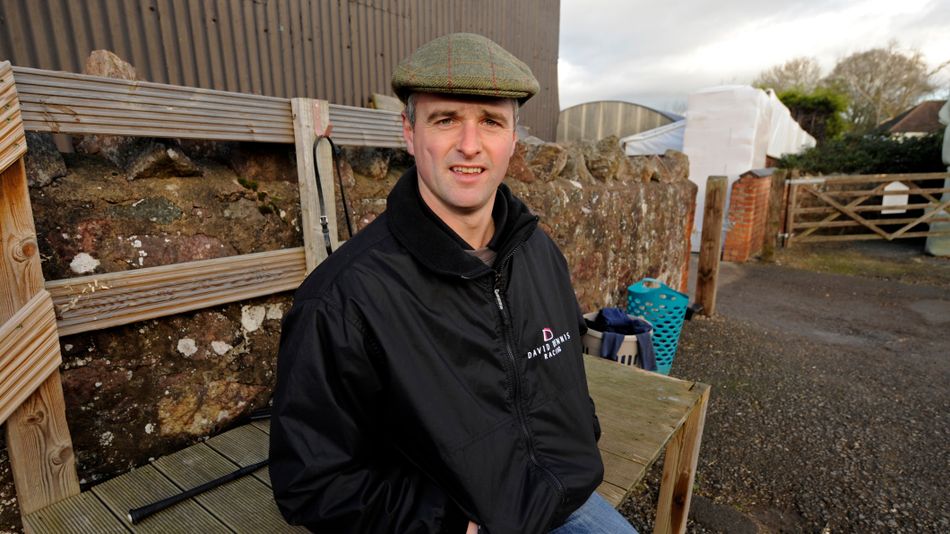 'It never looked in doubt' - veteran Innisfree Lad lands feature ...