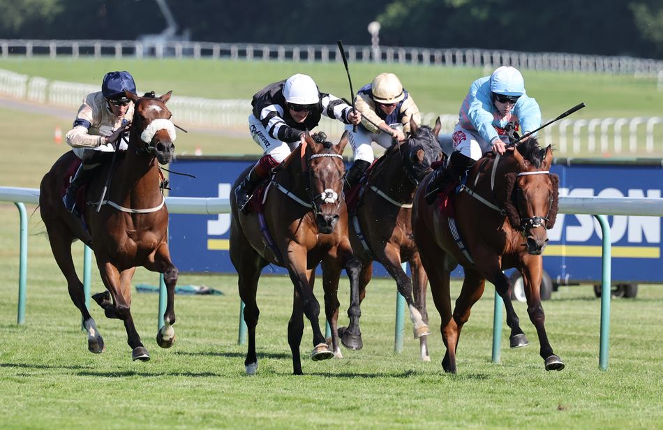 'I'm expecting a much bolder show from him' - analysis and quotes for ...