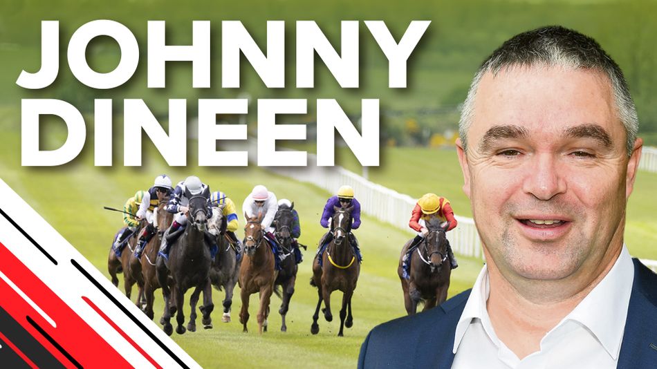 Unbeaten novice can stretch winning run at Cheltenham - and he could ...