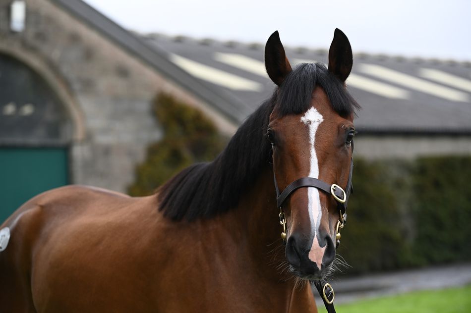 'We were not leaving without him' - Macauley and O'Connor swoop for € ...