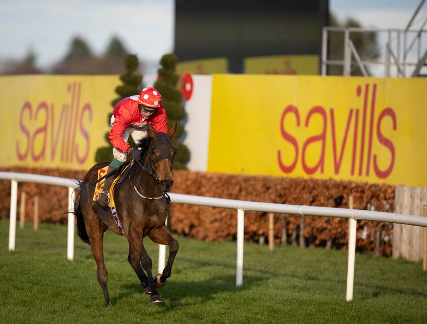 Home By The Lee continues magical festive period for Joseph O'Brien ...