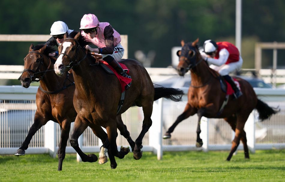 Heavy ground could sink Blow Your Horn's bid for £100,000 bonus at ...