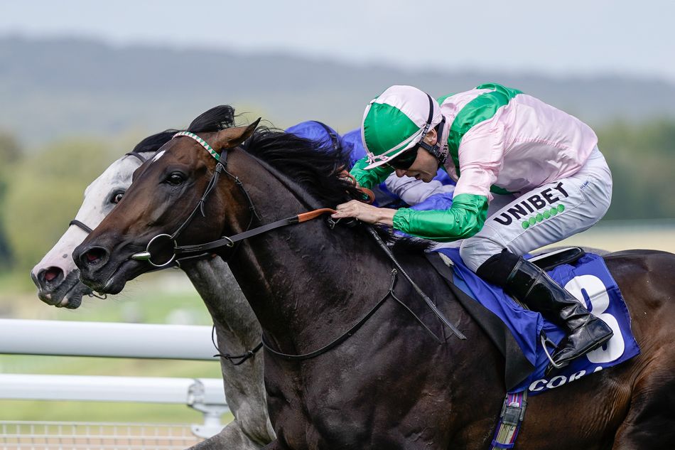 'They picked this race out before he was purchased' - lucrative plan ...