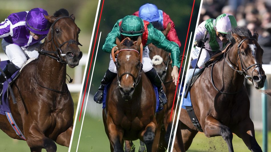 2023 Irish Guineas festival tips: why these horses can win one of the ...