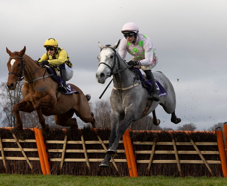 Lossiemouth shortens for Mares' Hurdle after owner Rich Ricci floats ...