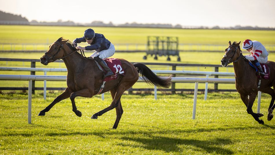 'We think she will stay very well' - Emily Dickinson among Ballydoyle ...
