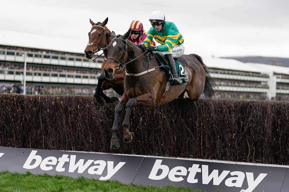 Fact To File among 12 in contention for Ryanair Chase as confirmations ...