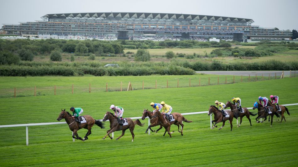 Ascot and Arena Racing Company agree new media rights deal with ...