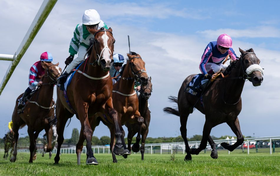 'She's more than paid for herself' - ultra-consistent Adaay In Devon ...