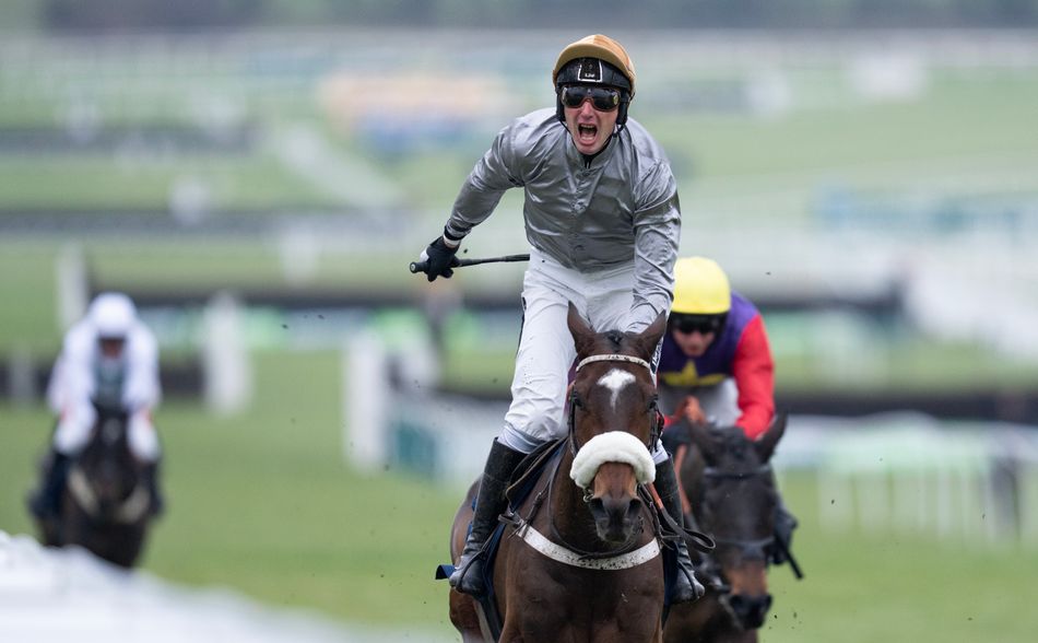 'We swore one day we'd bring a horse back to the festival' - meet the ...