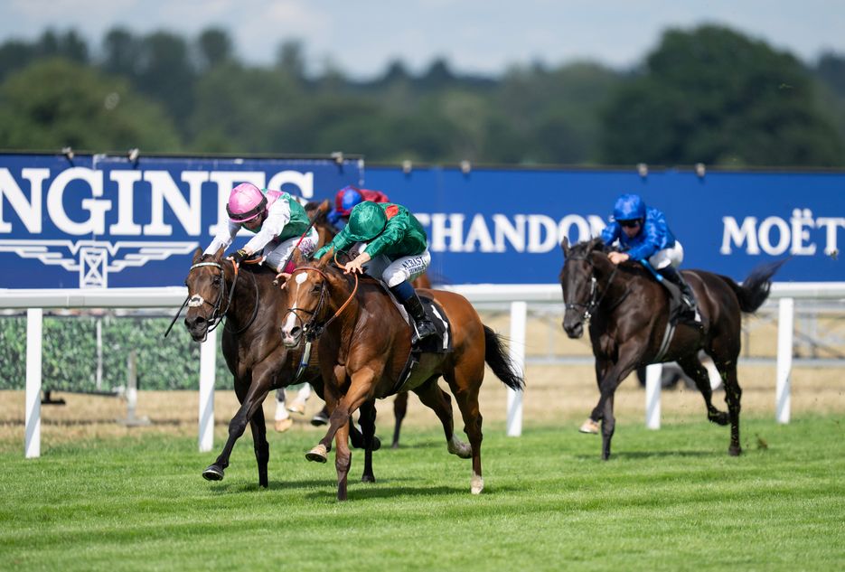 Champion Stakes betting heats up as Calandagan attracts support and ...