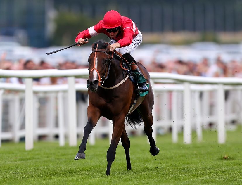 'She was the filly of a lifetime for everyone involved with her ...