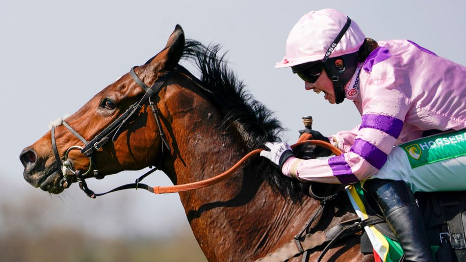 Quick ground no concern as Paul Nicholls readies big guns for Newbury ...