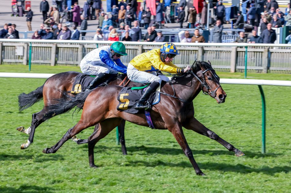 'This has always been the plan' - which filly has been laid out for the ...