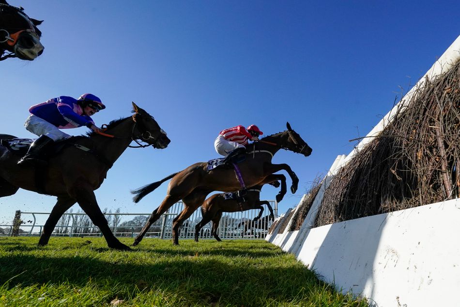 White fences are definitely better for horses - the science is ...