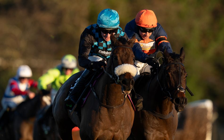 Nocte Volatus strikes for Tom Lacey and Stan Sheppard to land Veterans ...