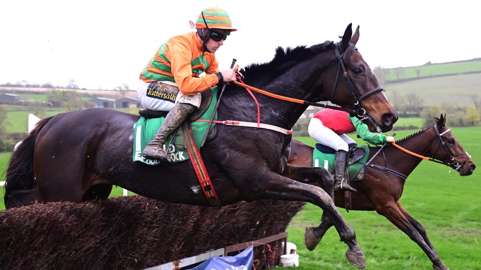 Festival favourite Ferns Lock starts off on road to Cheltenham in ...