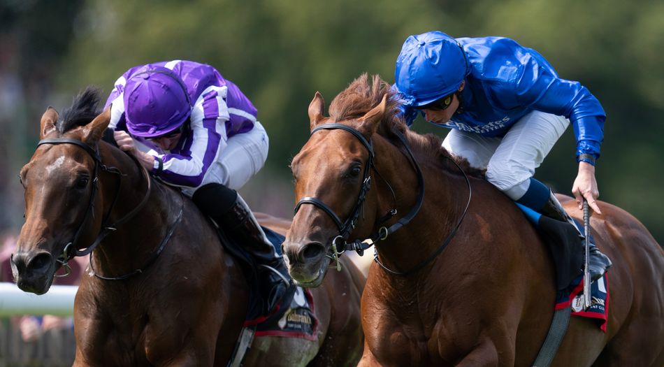 Group 3 winner Castle Way headlines Dubai Horses In Training Sale at ...