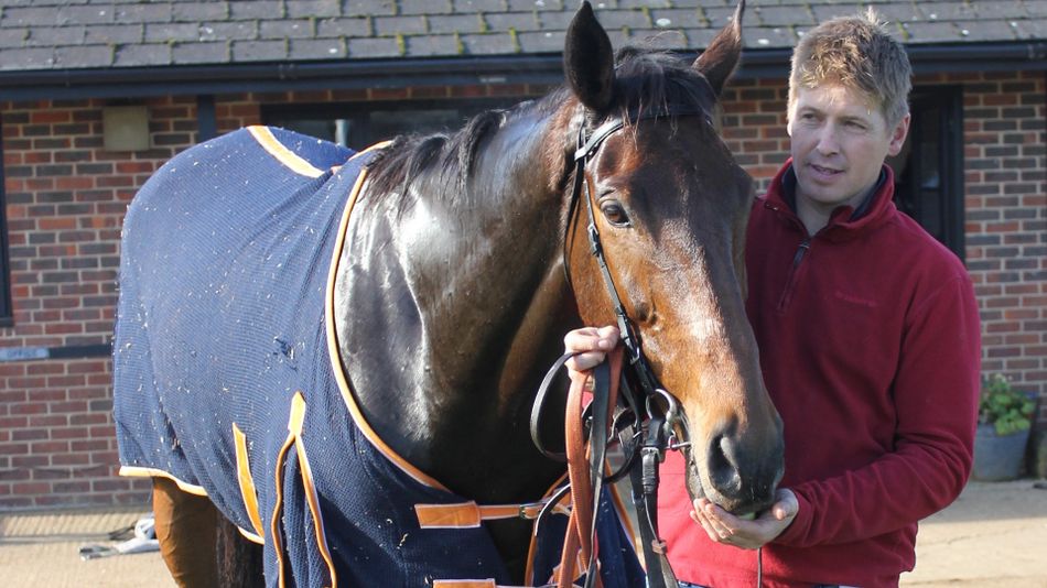 'I'm sure there will be more to come' - five-time UK Arabian champion ...