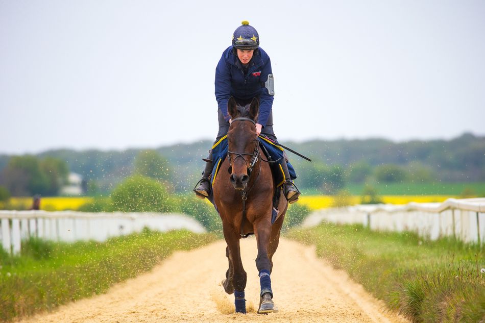 Louisa Carberry concentrating on French Grade 1 but King George 'could ...