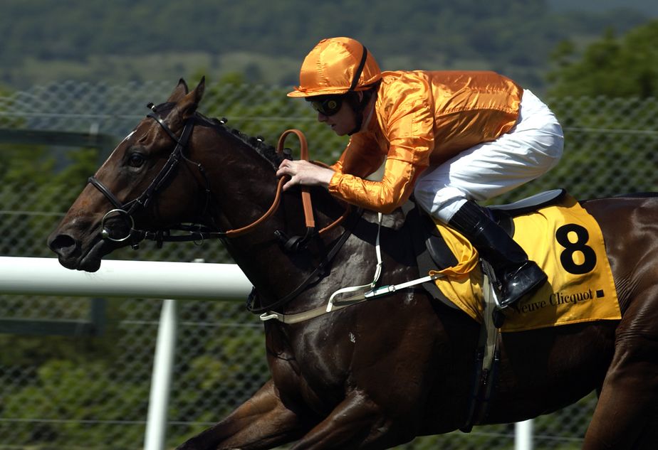 Glorious results highlight Sea The Stars and Shamardal this week ...