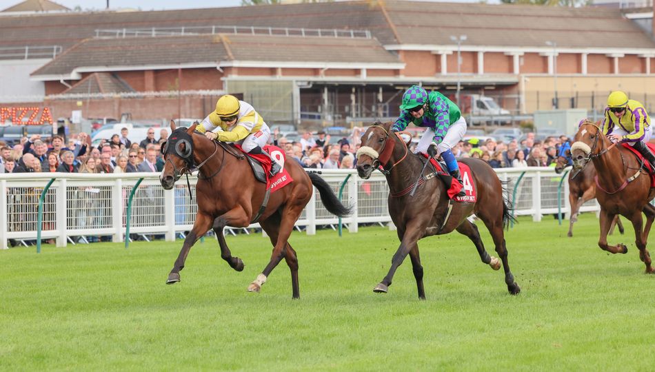 'Hopefully this lad is heading in that direction' - Wobwobwob stakes ...