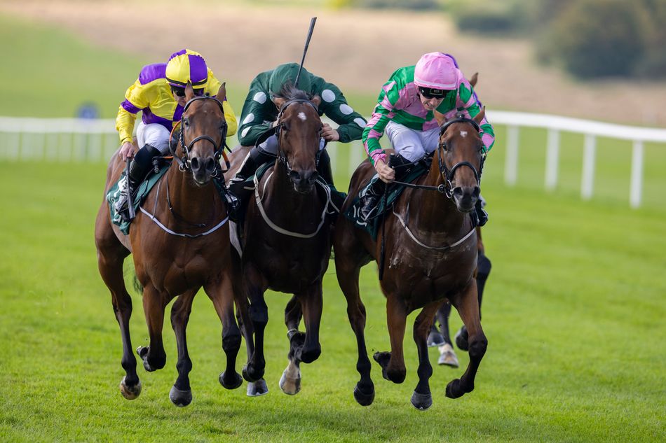 'He deserves all of the good things he gets' - Wesley Joyce winning ...