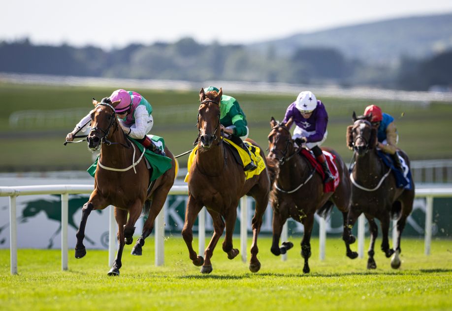 Unbeaten Babouche betters Ballydoyle hotpot Whistlejacket in exciting ...