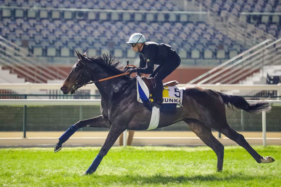 Junko the latest Group 1 winner for Intello and Wertheimer et Frere ...