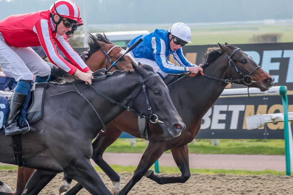 From Bahrain to Britain: Callum Shepherd's big-race run continues as he ...