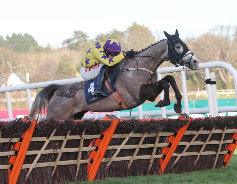 Gavin Cromwell runner halved in price as day one of Punchestown ...