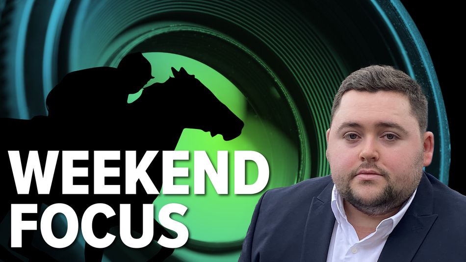 'He looks tailor-made for this test' - Harry Wilson had a 6-1 success ...