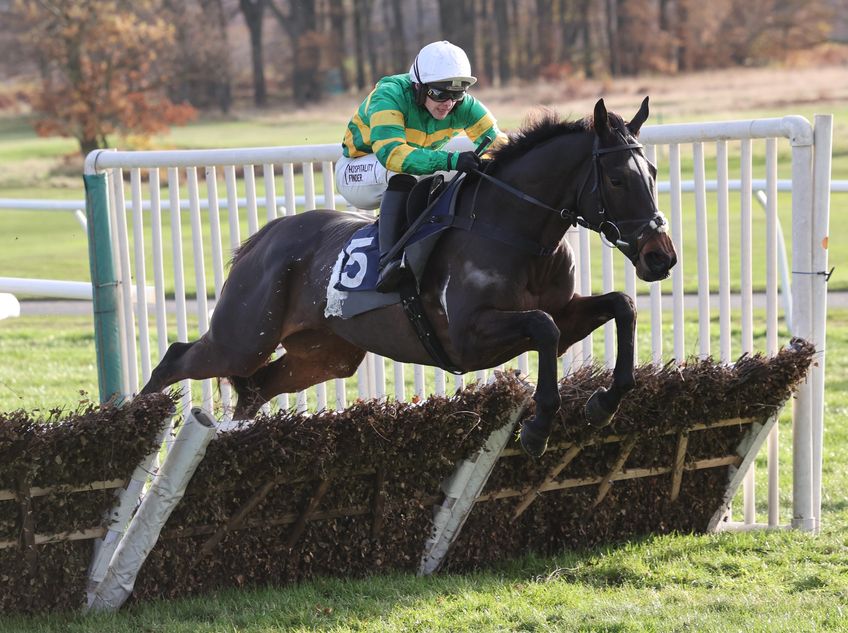 Can Crebilly join illustrious roll of honour in high-class novice ...