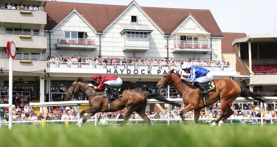 Haydock's next four fixtures moved from track as investigations into ...