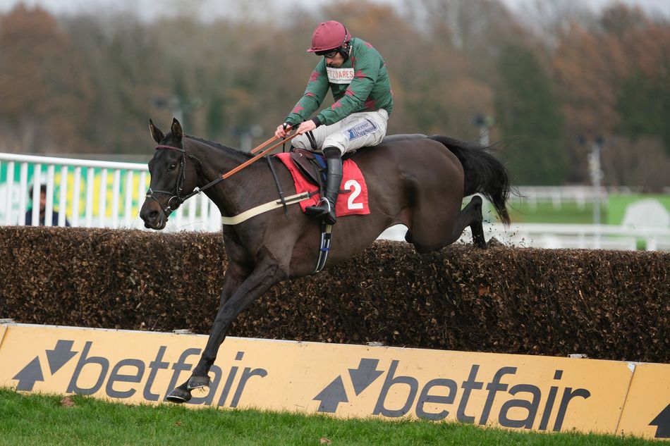 Ben Pauling's Handstands produces smart jumping display to strengthen ...