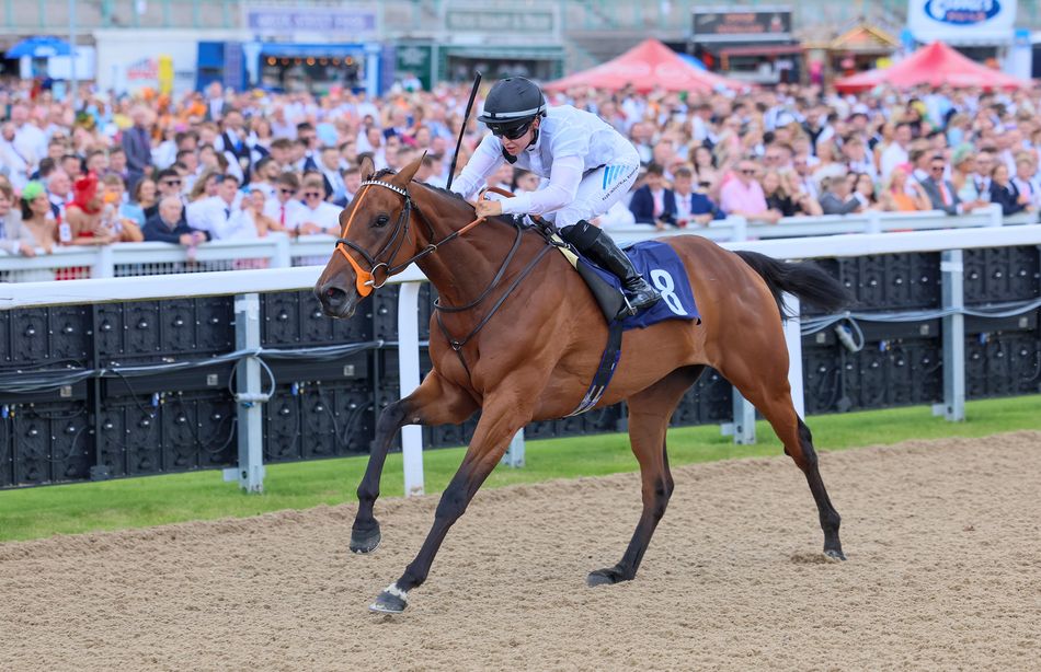 Sir Mark Prescott could follow Alpinista route with German Group 2 ...