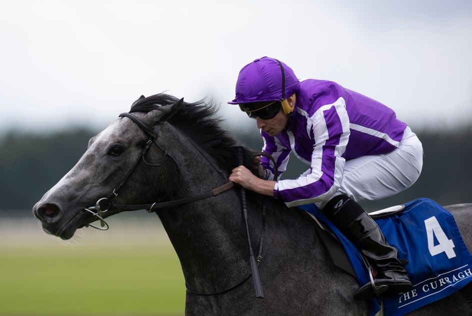 'It's very unusual' - high-profile Curragh hat-trick as Wootton Bassett ...