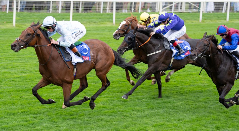 'That race had a very high standard - it should leave him spot on for ...