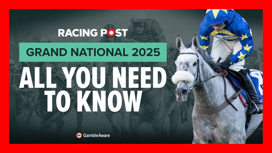 Grand National 2025: Start Time, Runners, Favourites & More | Racing Post