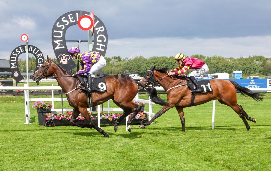 Micky Hammond enjoys welcome winner as Odd Venture ends stable drought ...