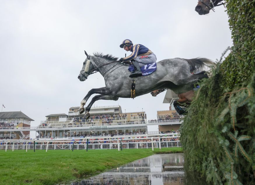 Can Grand Sefton winner King Turgeon carry top weight to victory in ...