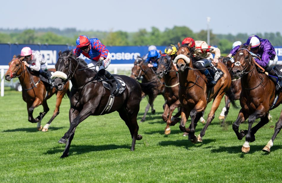 Mick Appleby optimistic Big Mojo can make next step towards the ...