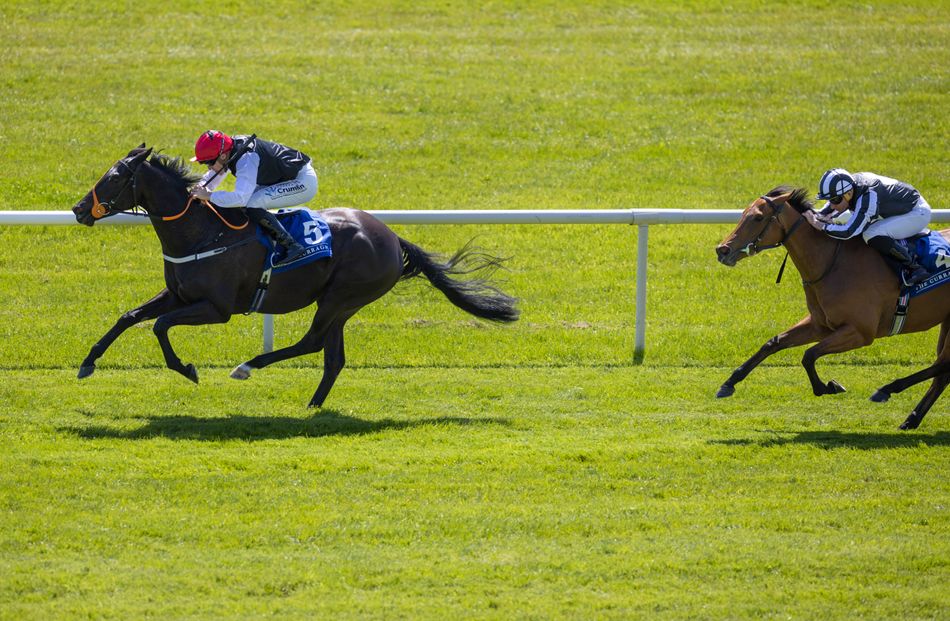 Just Beautiful something to behold after scorching home in Group 2 for ...