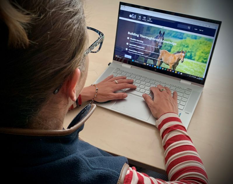 'We hope these courses prove useful tools' - TBA launches new Business ...