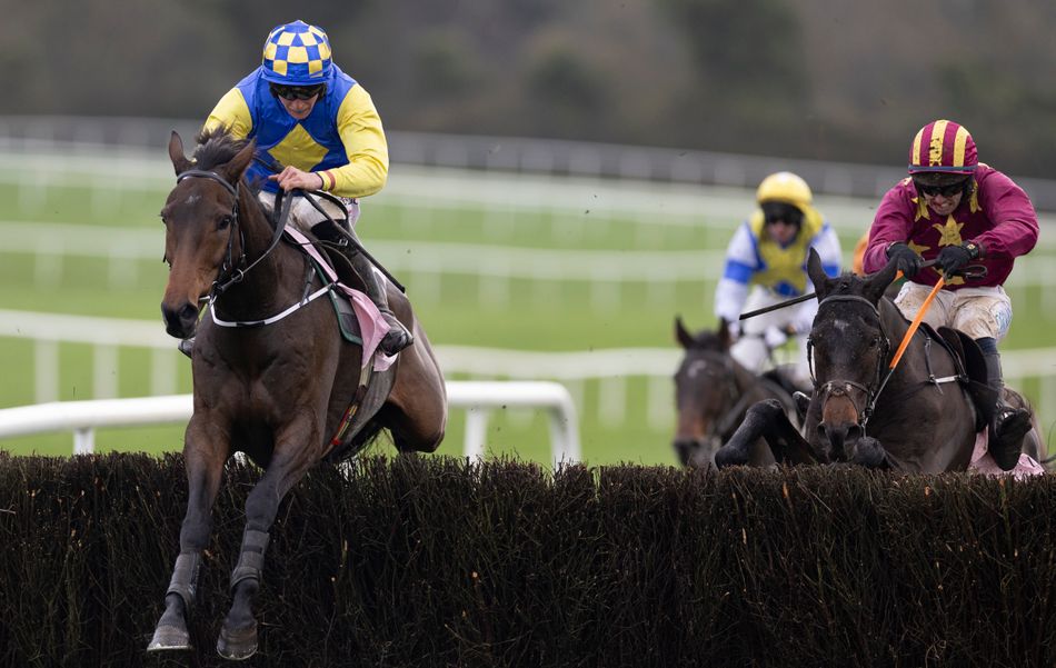 Oscars Brother delivers Grade 2 success for two-horse trainer Connor ...